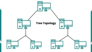 Tree Topology- Definition, Types, Advantages and Disadvantages